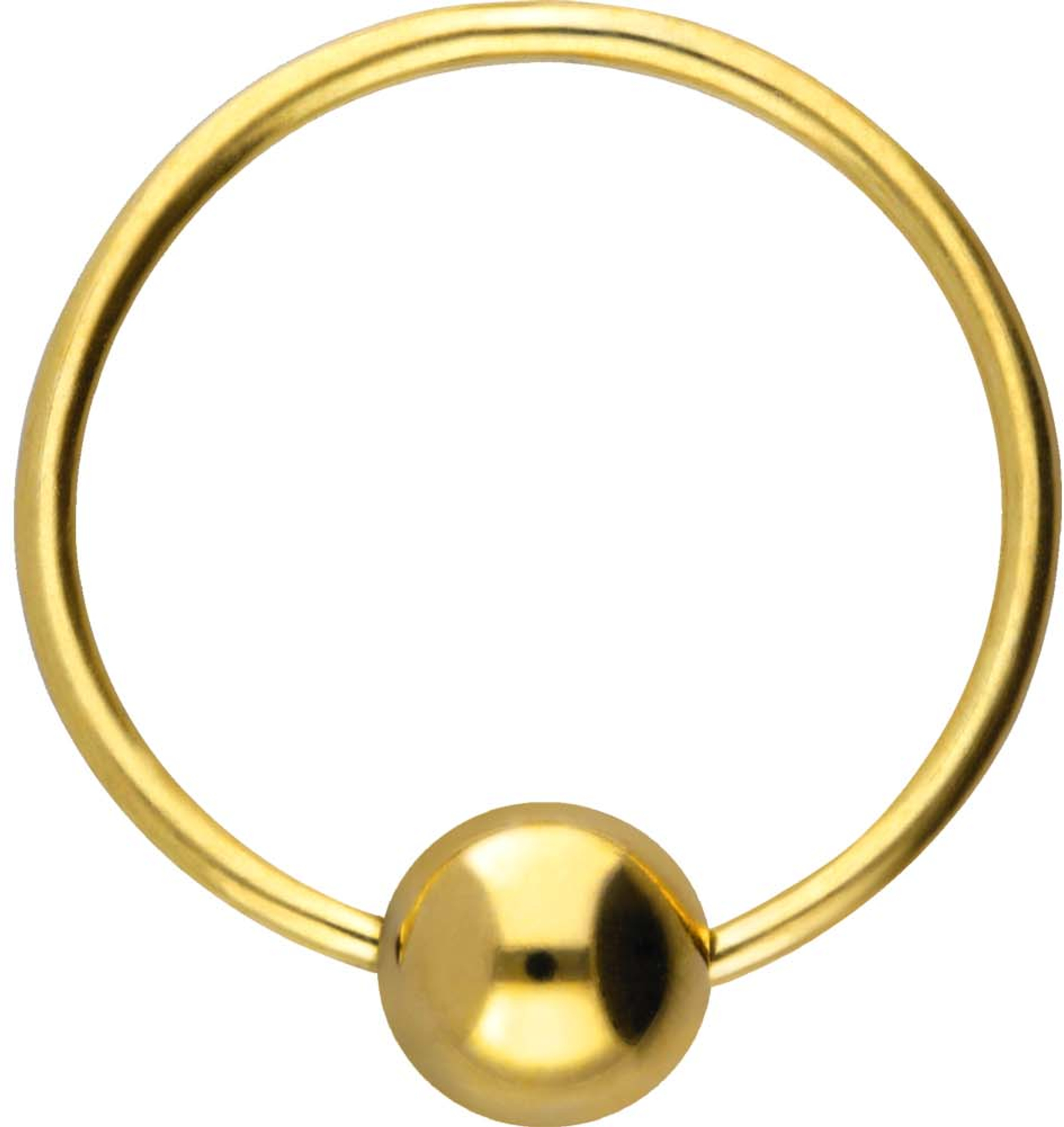 Prinz Albert Piercing » Schmuck online kaufen | PIERCINGLINE